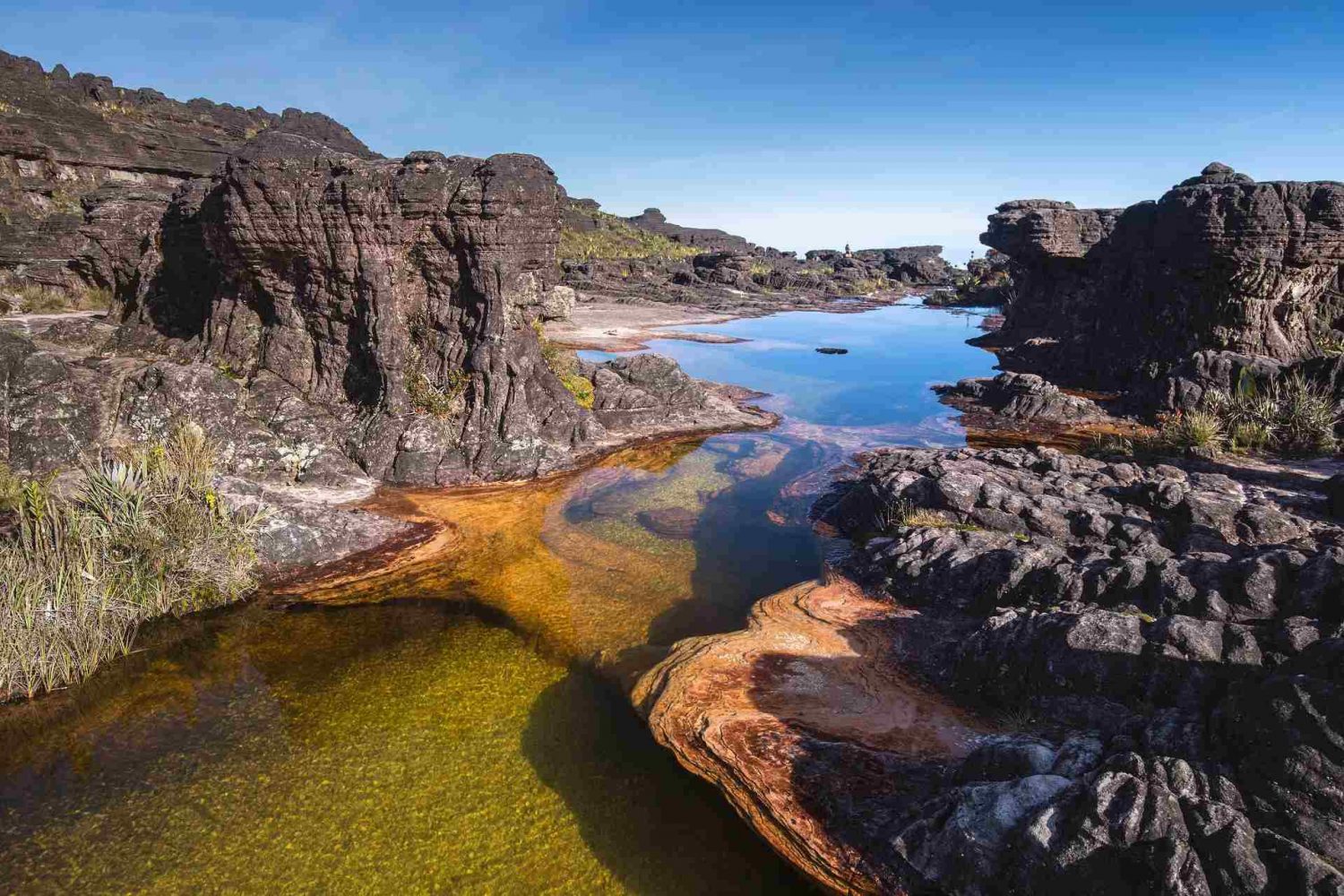 Pacote Expedição Monte Roraima - Roteiro Makunaima | Oikos Tour Operator