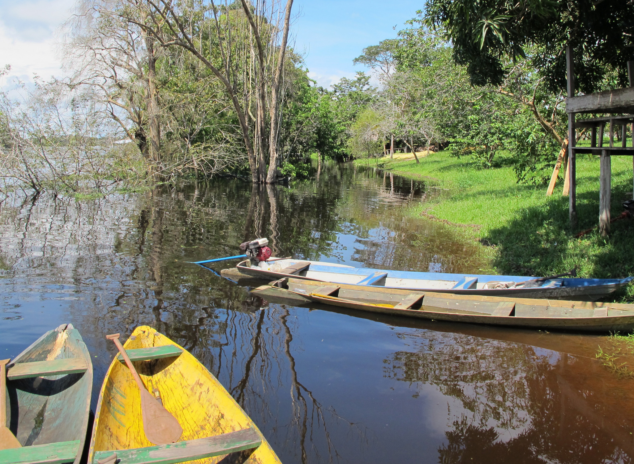 Pacote Amazônia - Juma Amazon Lodge | Oikos Tour Operator