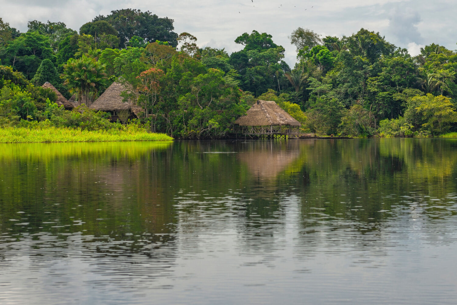 Pacote Amazônia - Juma Amazon Lodge | Oikos Tour Operator